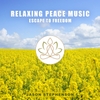 Jason Stephenson | Deep Relaxing Sleep Music (3 Hours) | CD Baby Music ...