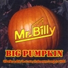 Mr. Billy | Electric Bananas | CD Baby Music Store