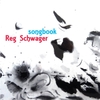 Reg Schwager | Arctic Passage (feat. David Restivo) | CD Baby Music Store